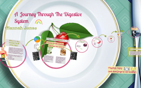 A Journey Through The Digestive System by Silver Unicorn on Prezi