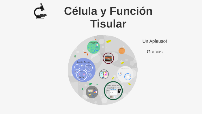 Célula y Función Tisular by Nicolas Ramirez on Prezi