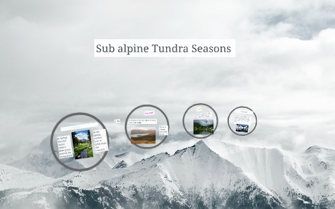 Sub alpine Tundra by Jeremy R on Prezi