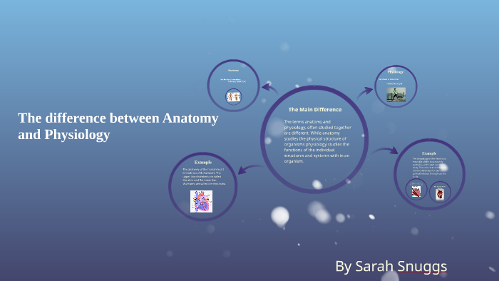 The difference between Anatomy and Physiology by Sarah Snuggs on Prezi