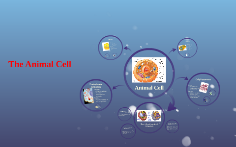 Animal Cell by on Prezi