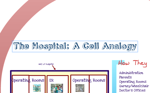 Hospital: Cell Analogy by Madison Smith on Prezi