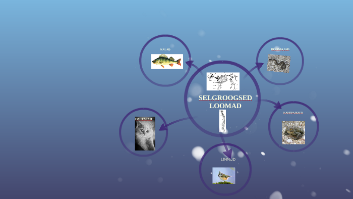 SELGROOGSED LOOMAD by Tiina Arbeiter on Prezi