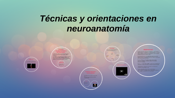 Técnicas Y Orientaciones En Neuroanatomía By Cristian Martínez On Prezi