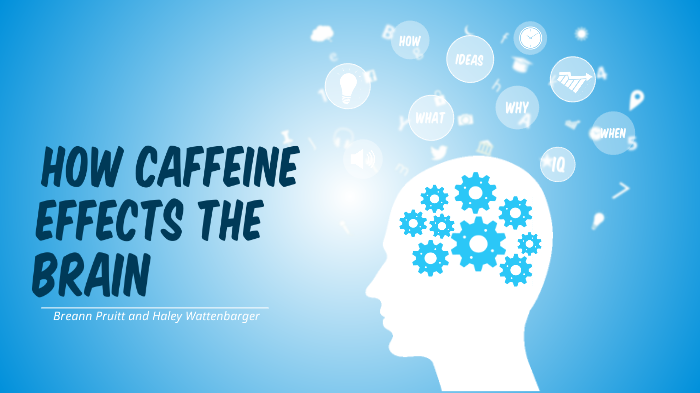 How Caffeine affects the brain by Haley Wattenbarger on Prezi