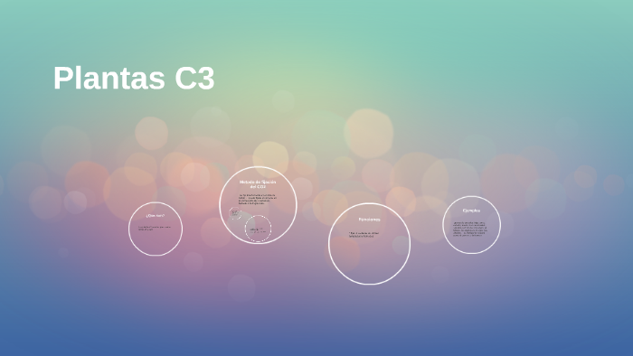 Plantas C3 by Luis Espinosa on Prezi