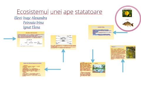 Ecosistemul unei ape statatoare by Alexandra Ivaşc on Prezi