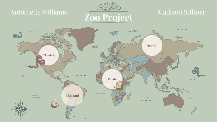 Zoo Project - Antoinette and Madison Stiltner by Antoinette Williams on ...