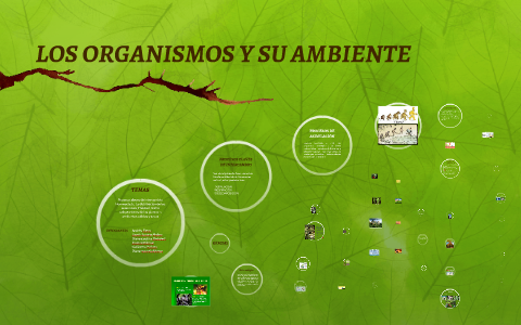 LOS ORGANISMOS Y SU AMBIENTE by diana marcela on Prezi