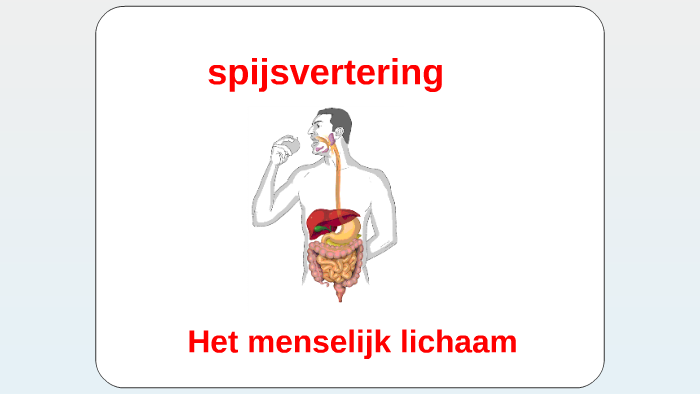 spijsvertering by Willemijn Heule on Prezi