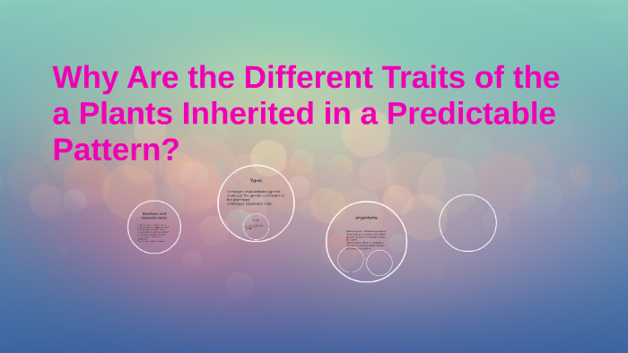 Why Are the Different Traits of the a Plants Inherited in a by Aby ...