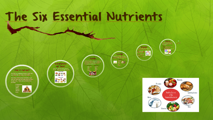 The Six Essential Nutrients by Hope Campbell on Prezi
