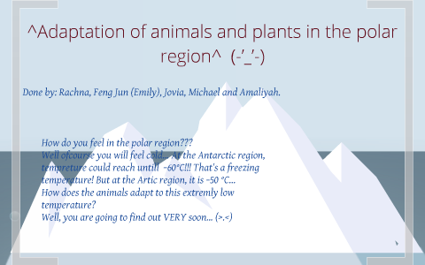 ~Adaptation of animals and plants in the polar regions~ by Amaliyah ...