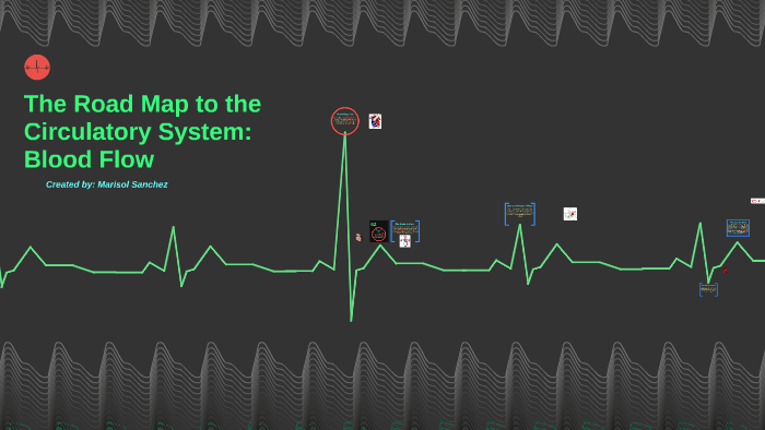 The Road Map to the Circulatory System: Blood Flow by Marisol Sanchez ...