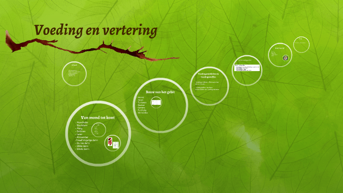 Voeding en vertering. by michel van der elst on Prezi