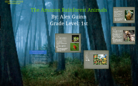 Amazon Rainforest Animals by Alex Guinn on Prezi