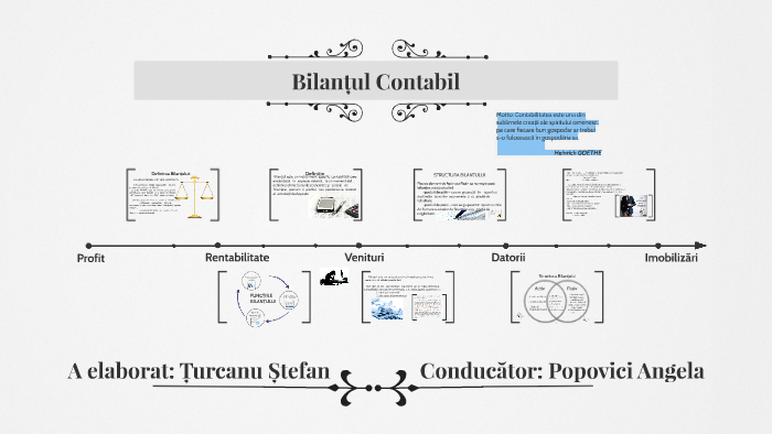 Bilanțul Contabil by Țurcanu Ștefan on Prezi