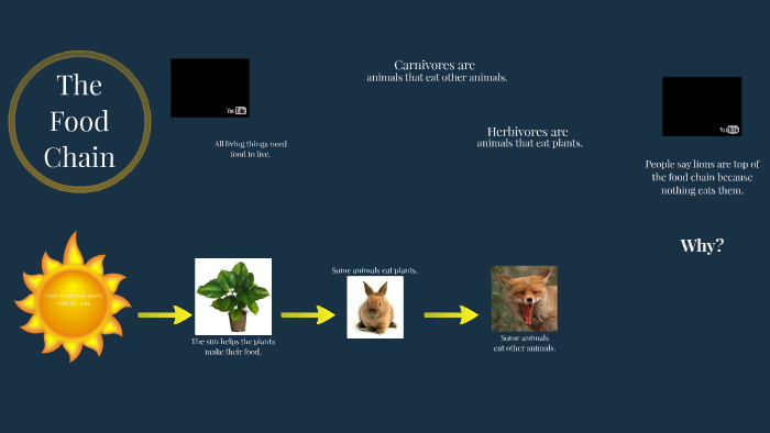 The Food Chain by Tom Simpkins on Prezi