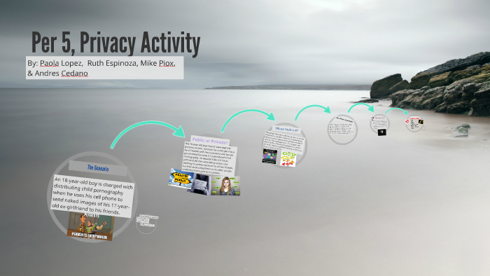 Privacy Activity , Per. 5 by Dusty Curve