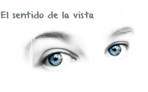 El sentido de la vista by valeria chourio on Prezi