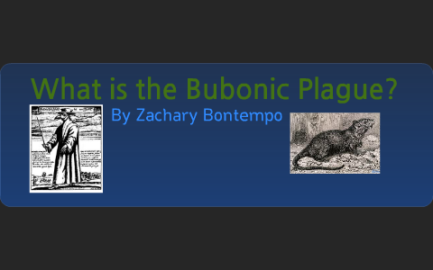 Biology Human Body Project (Bubonic Plague) by Zach Bontempo on Prezi