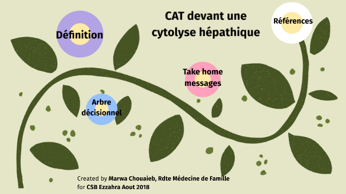 CAT devant un cytolyse hépatique by marwa chouaieb on Prezi
