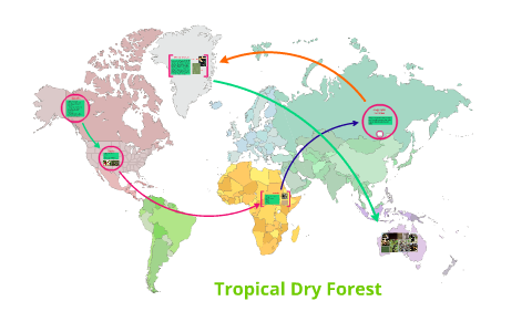 Tropical Dry Forest by angela marconato on Prezi