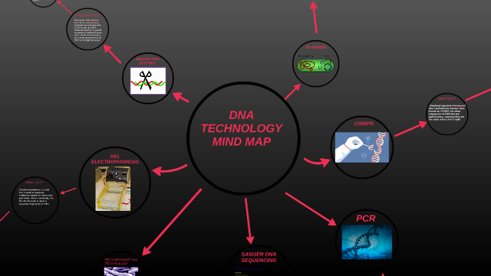 DNA TECHNOLOGY MIND MAP by Jaideep Rana on Prezi