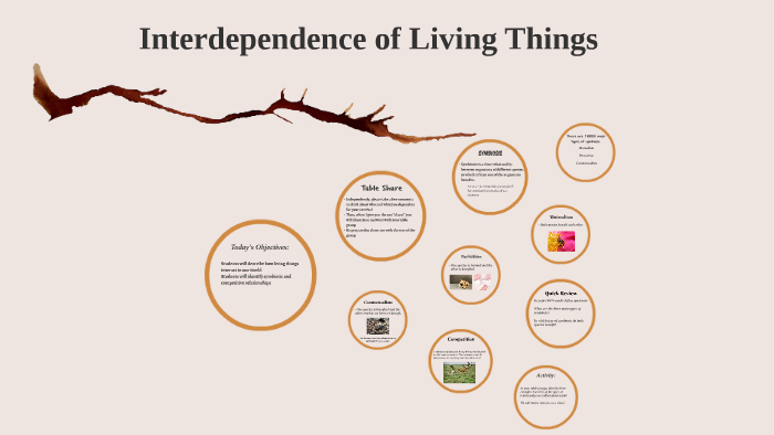 Interdependence of Living Things by Kylin Costa on Prezi