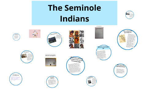The Seminole Indians by Amy Bowles