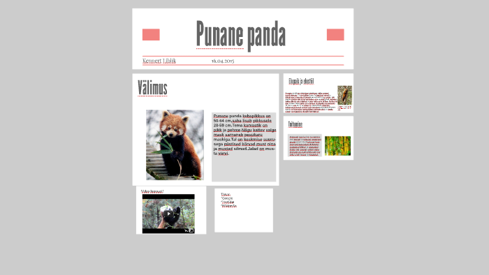 Punane panda by Kennert Liblik on Prezi