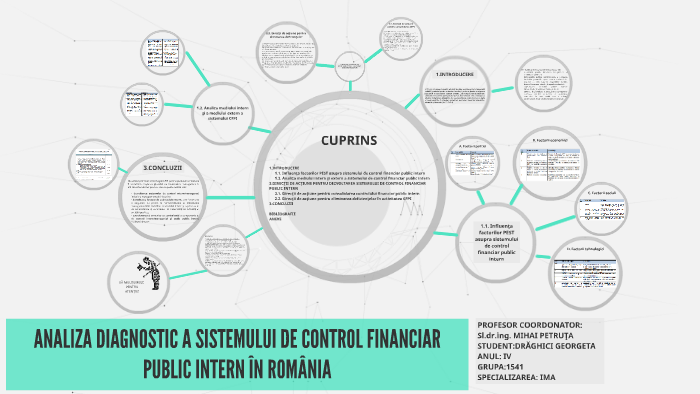 ANALIZA DIAGNOSTIC A SISTEMULUI DE CONTROL FINANCIAR PUBLIC by Draghici ...