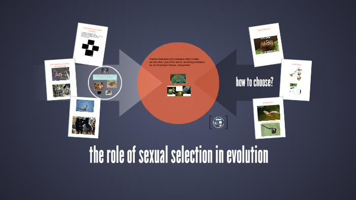 the role of sexual selection in evolution by Jennifer Dever on Prezi