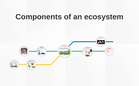 Components of an ecosystem by Pam Gifford on Prezi