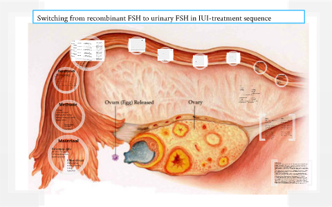 Switching from rFSH to uFSH in IUI treatment by Renee Out on Prezi