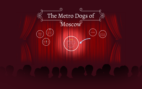 The Metro Dogs of Moscow by Colby YT on Prezi