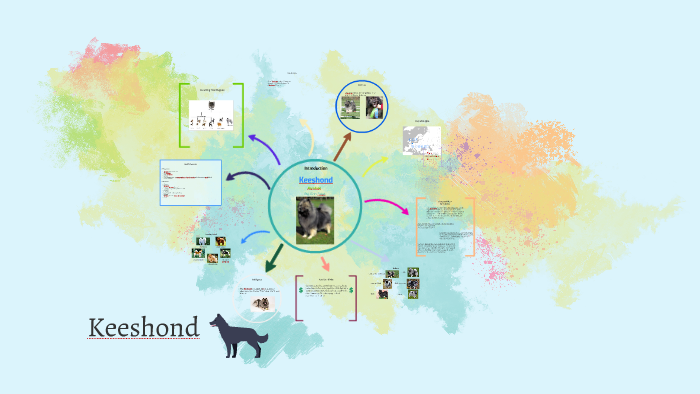 Dog Project by Erin Feist on Prezi