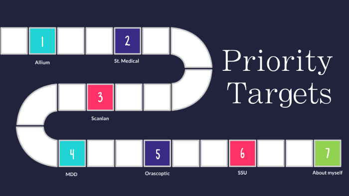 Priority Targets by Tomek r on Prezi