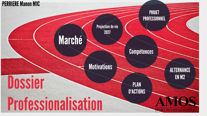 Dossier pro by Manon PERRIERE on Prezi