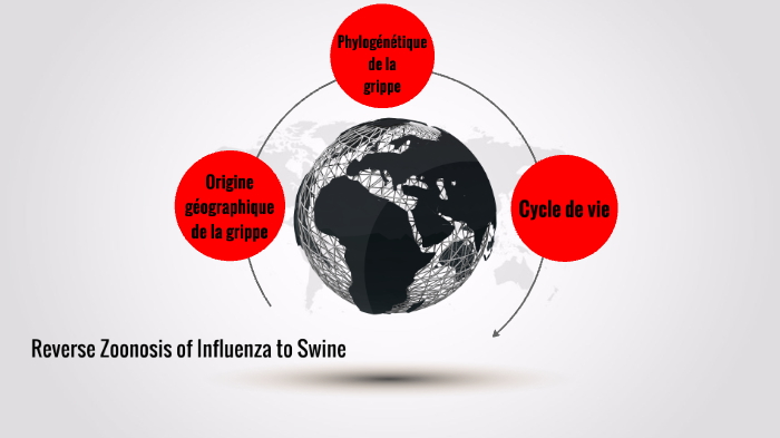 Reverse Zoonosis of Influenza to Swine by Etienne AUBRY on Prezi