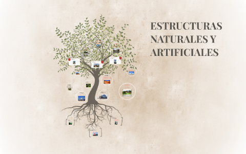 ESTRUCTURAS NATURALES Y ARTIFICIALAS by juan zambrano on Prezi