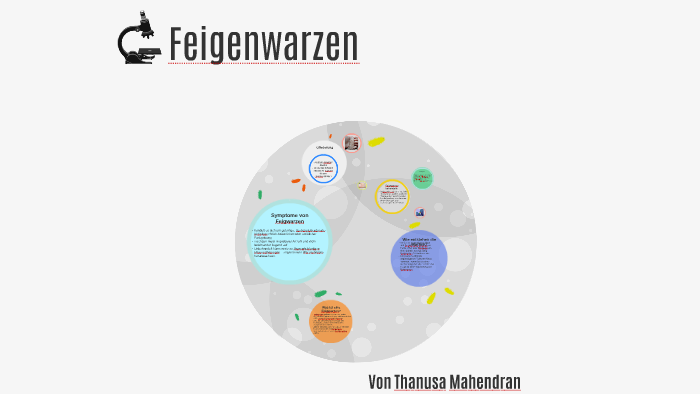 Feigenwarzen by santhiya Kuddy on Prezi