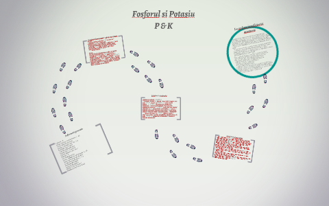Fosforul si Potasiu by Tb Victoria on Prezi