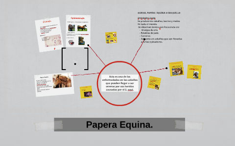 Papera Equina. by Ivan Ramos Frescas on Prezi