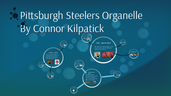 Pittsburgh Steelers Organelle by connor kilpatrick on Prezi
