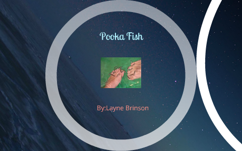 Puca Fish by april blent on Prezi