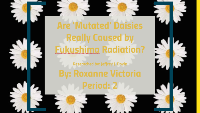 Are ‘Mutated’ Daisies Really Caused by Fukushima Radiation? by R Vict ...