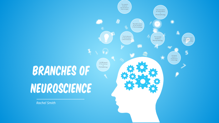 Branches of Neuroscience by Rachel Smith on Prezi