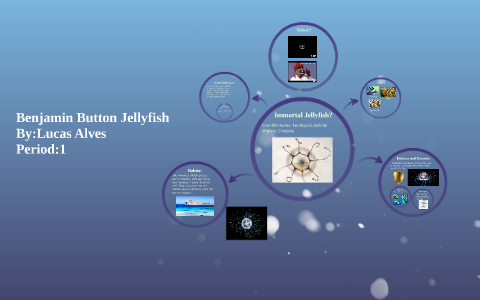Benjamin Button Jellyfish by Lucas Alves on Prezi