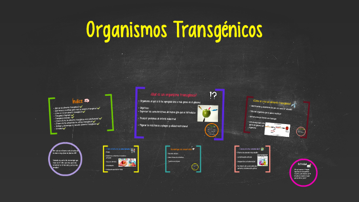 Organismos Transgénicos by Fran Catón on Prezi